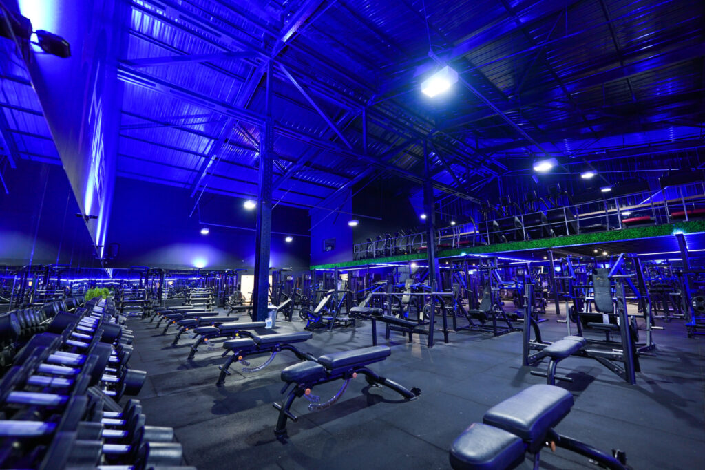 King's Gym – Join Online Now!